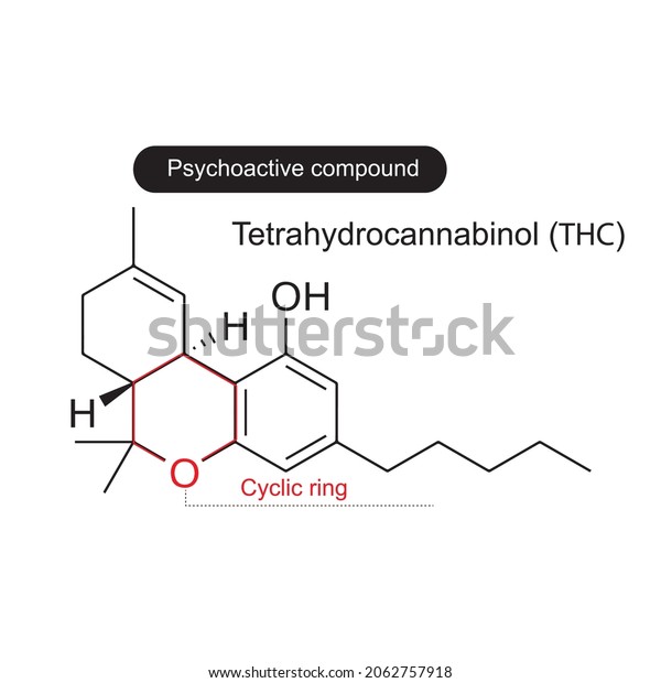 Structure Tetrahydrocannabinol Thc Isolated On White Stock Vector ...