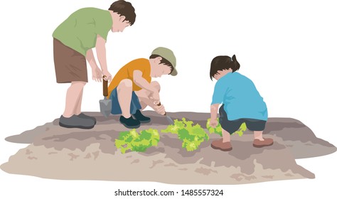 Students Farming Illustration Graphic Vector Stock Vector (Royalty Free ...