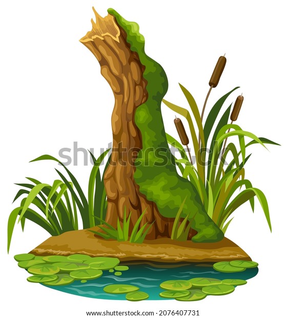 마쉬의 이끼들만화는 늪의 정글에 있다.깨진 나무 스톡 벡터(로열티 프리) 2076407731 | Shutterstock
