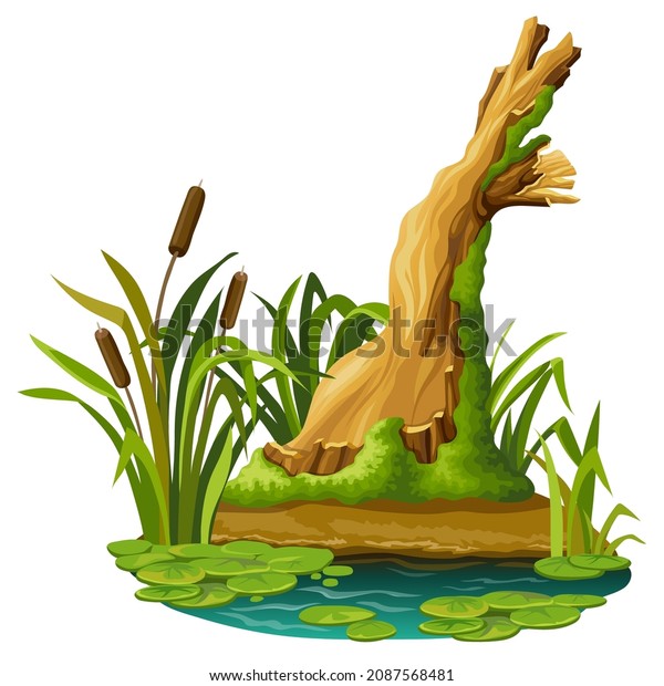 Vektor Stok Stump Moss Marsh Cartoon Log Swamp (Tanpa Royalti ...