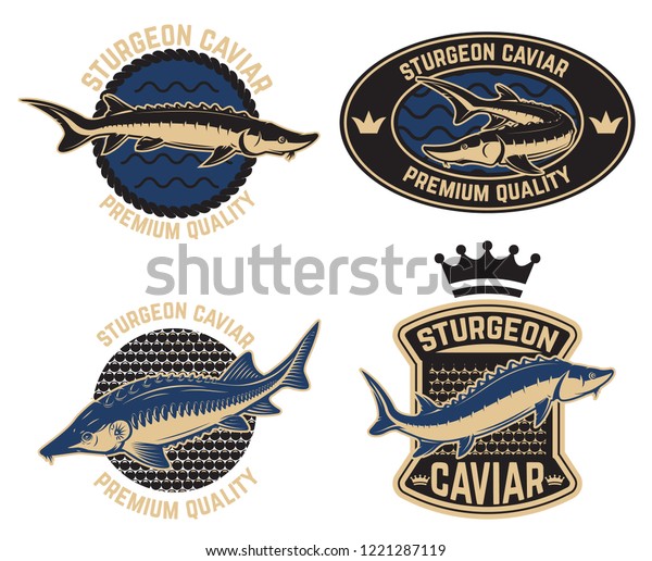 848 Sturgeon logo: immagini, foto stock e grafica vettoriale | Shutterstock