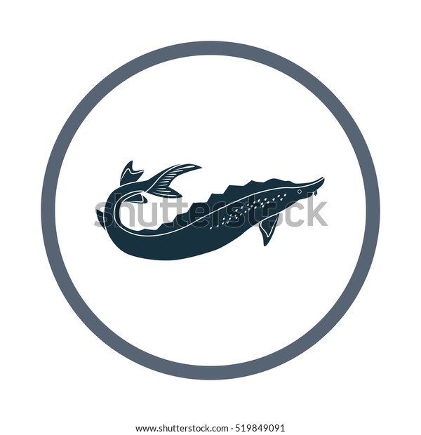 Sturgeon Icon Simple Design Web Mobile Stock Vector (Royalty Free ...