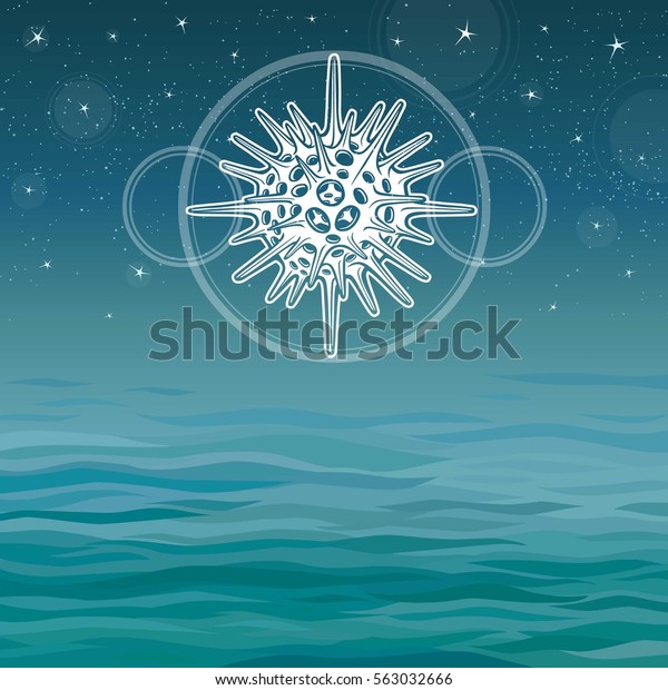 Stylized Drawing Radiolaria Elementary Marine Organism Stock Vector ...