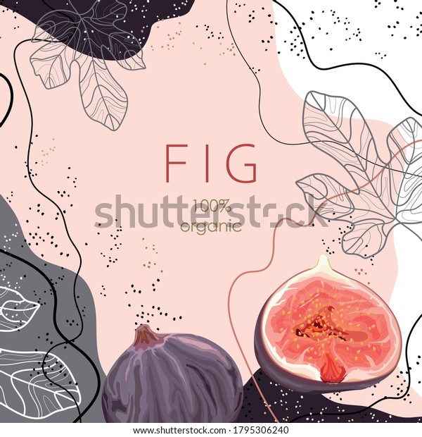 Stylized Figs Leaves On Abstract Background Stock Vector (Royalty Free ...