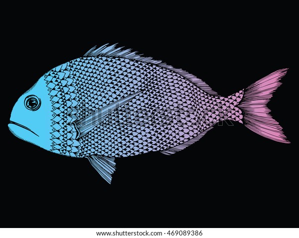 Stylized Fish Sea Fish Dorado Drawing Stock Vector (Royalty Free ...