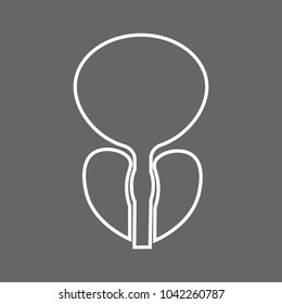 Stylized Human Prostate Anatomy Line Icon Stock Vector (Royalty Free ...