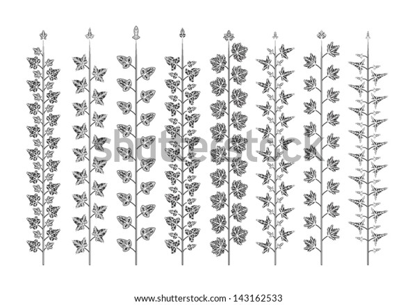 Stylized Ivy Specimen Collection Black White Stock Vector (Royalty Free ...