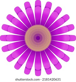 Stylized Purple Aster Vector Stock Vector (Royalty Free) 2181420631 ...