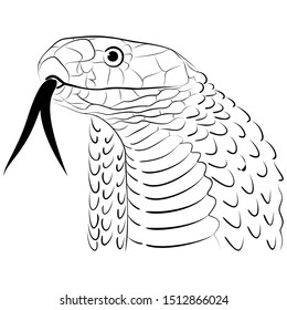 Stylized Snake Head Line Drawing Stock Vector (Royalty Free) 1512866024 ...