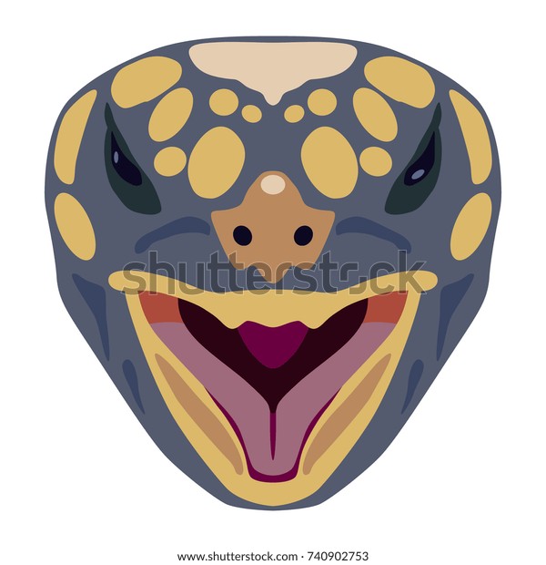 Stylized Turtle Tortoise Face Isolated Vector Stock Vector (Royalty ...