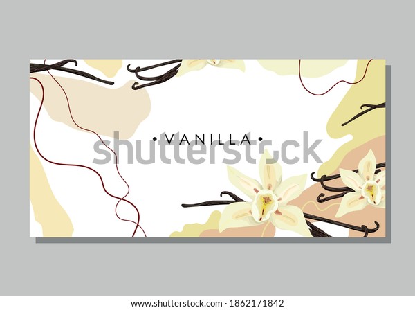 Stylized Vanilla On Abstract Background Text Stock Vector (Royalty Free ...