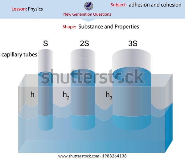 Substance Properties Adhesion Cohesion Physics Stock Vector (Royalty ...