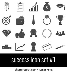 Success Icon Set 1 Gray Icons Stock Vector (Royalty Free) 726867598 ...