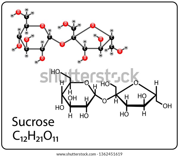 Sucrose Molecule Structure Stock Vector (Royalty Free) 1362451619