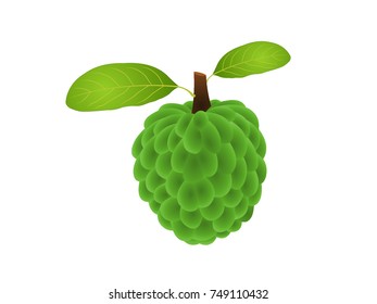 Sugar Apple Cartoon Vector Image: เวกเตอร์สต็อก (ปลอดค่าลิขสิทธิ์ ...