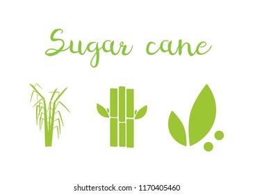 Sugar Sugar Cane Labels Sugar Cane Stock Illustration 1203236035 ...