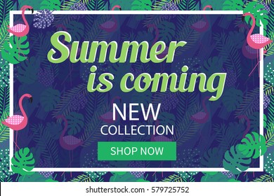 Summer Collection Banner Tropical Background Online Stock Vector ...