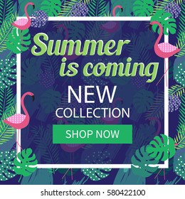 Summer Collection Banner Tropical Background Online Stock Vector ...