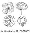321,216 Bird Outline Royalty-Free Images, Stock Photos & Pictures ...