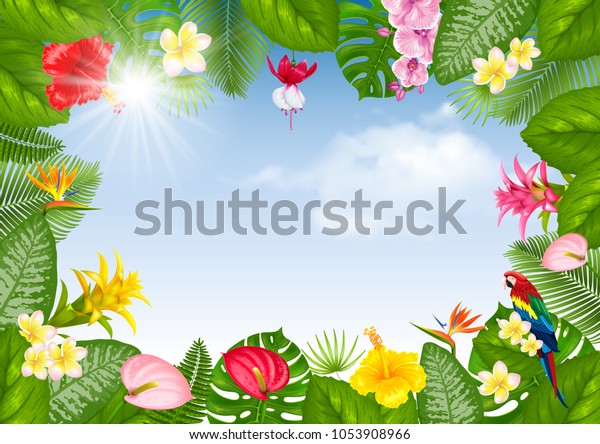 Summer Tropical Frame Design Bright Exotic Stock Vector (Royalty Free ...