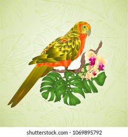 64 Sun conure bird Stock Vectors, Images & Vector Art | Shutterstock