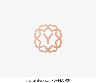 Sun Star Letter Y Vector Neat Stock Vector (Royalty Free) 574480708 ...