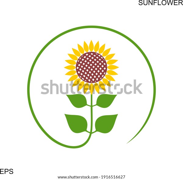 Sunflower Logo Isolated Sunflower On White Stock Vector (Royalty Free ...