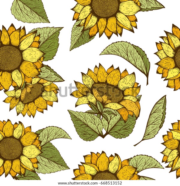 Sunflower Vector Hand Drawn Sunflowers Seamless Stock Vector (Royalty ...