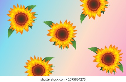 Sunflowers Gradient Background Pastel Colors Stock Vector (Royalty Free ...