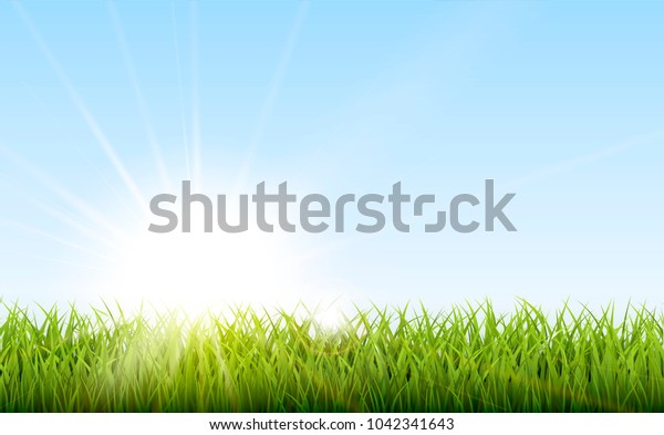 Sunny Natural Background Vector Sun Grass Stock Vector (Royalty Free ...
