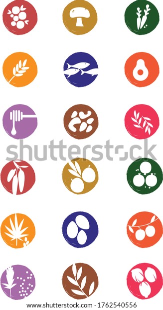 Superfood Icon Set Flat Vector Stock Vector (Royalty Free) 1762540556 ...