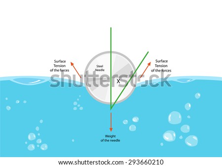 Surface Tension Cross Section Diagram Editable Stock Vector (Royalty ...