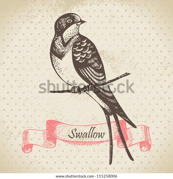 Swallow Bird Handdrawn Illustration Stock Vector (Royalty Free) 115258006