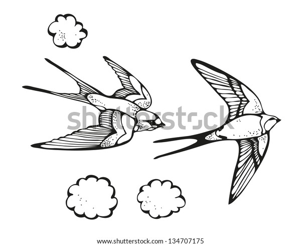 Swallow Drawing Illustration Bird Isolated On Stock Vector (Royalty ...