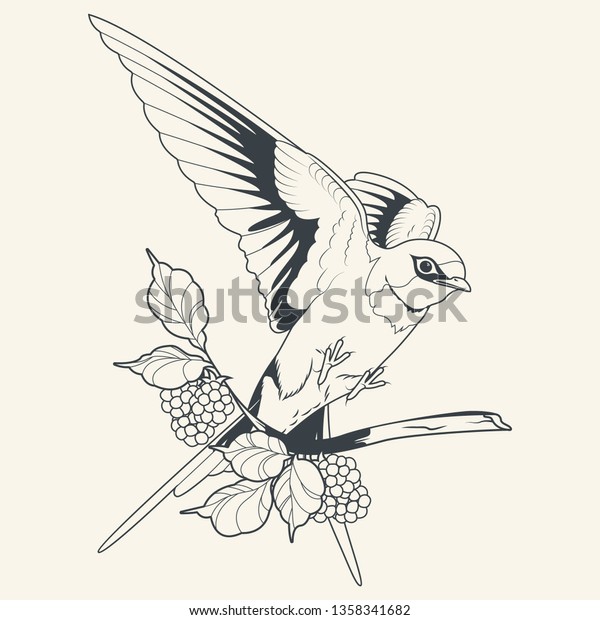 Swallow Line Art Isolated Sketch Drawing Stock Vector (Royalty Free ...