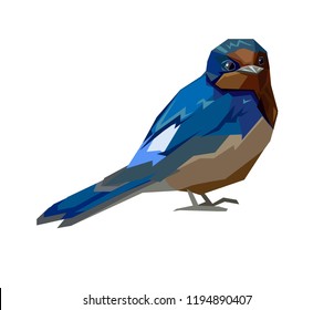 Swallow Vector Illustration Isolated Bird Stock Vector (Royalty Free ...