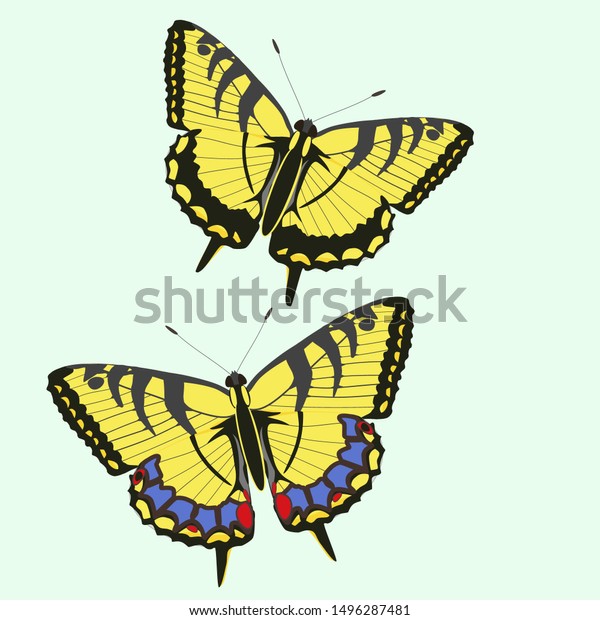 Swallowtail Butterflies Isolated Vector Image Stock Vector (Royalty ...