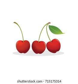 Sweet Cherries Vector Illustration Stock Vector (Royalty Free) 715175314