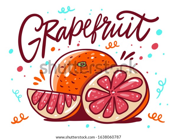 Sweet Cute Grapefruit Cartoon Style Vector Stock Vector (Royalty Free ...