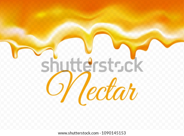 Sweet Nectar Isolated On Transparent Background Stock Vector (Royalty ...