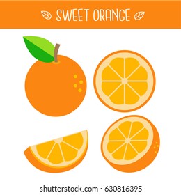 Sweet Orange Vector Illustration Stock Vector (Royalty Free) 630816395 ...