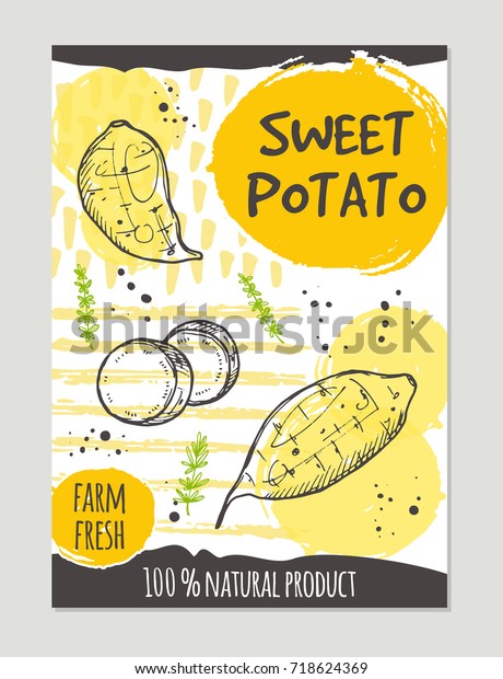 Sweet Potato Brochure Concept Design Retro 스톡 벡터(로열티 프리) 718624369