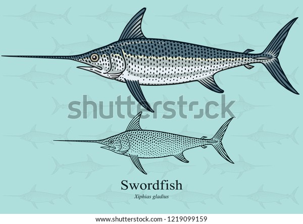 Swordfish Vector Illustration Refined Details Optimized Stock Vector ...