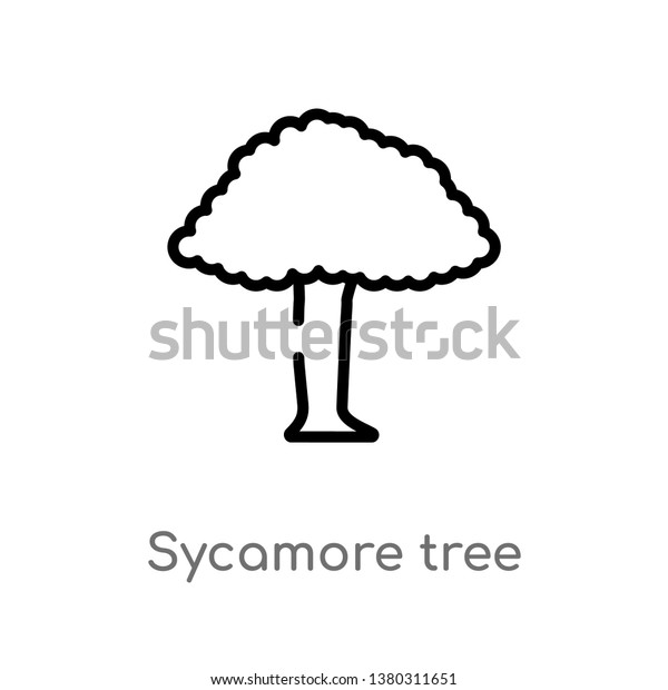 Sycamore Tree Vector Line Icon Simple Stock Vector (Royalty Free ...