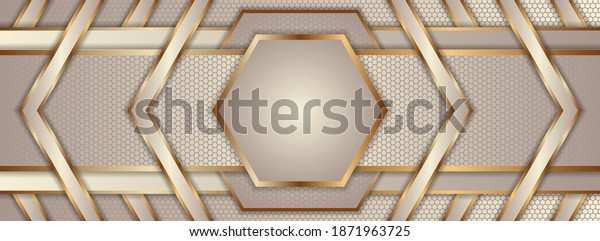 Symmetric Design Abstract Geometric Background Use Stock Vector ...