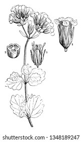 Las flores simétricas tienen cuatro o: vector de stock (libre de ...