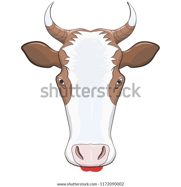 Symmetrical Image Cow Head Portrait Vector Stock Vector (Royalty Free ...