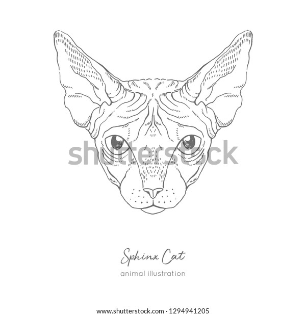 Symmetrical Vector Portrait Illustration Sphinx Cat Stock Vector ...