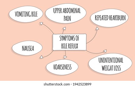 Symptoms Bile Reflux Vector Illustration Medical: เวกเตอร์สต็อก (ปลอด ...