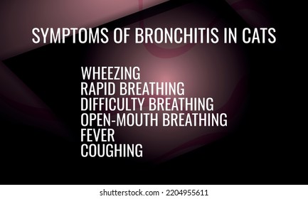 Symptoms Bronchitis Cats Vector Illustration Medical Stock Vector ...